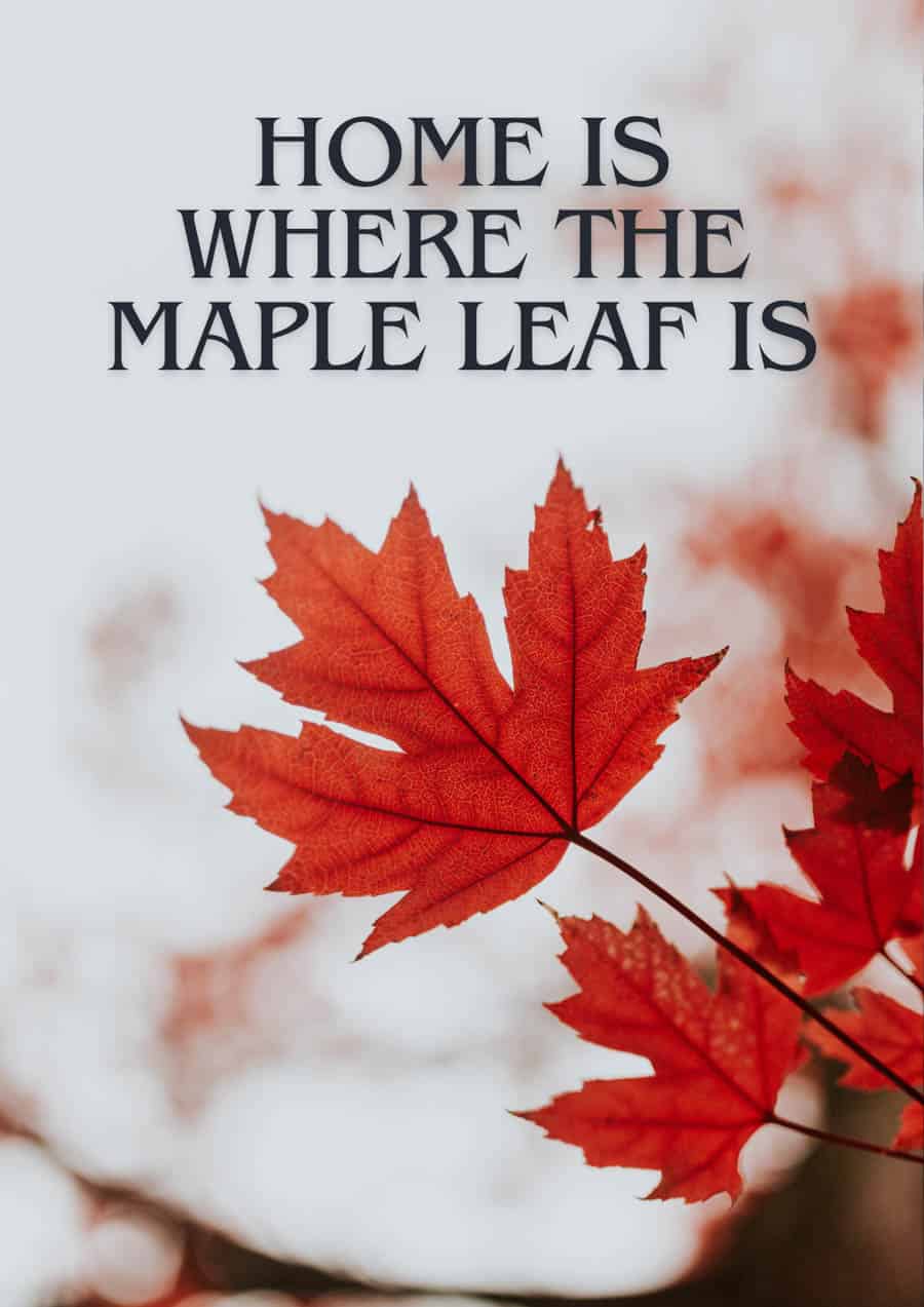 150 + Canada Instagram Captions & Quotes